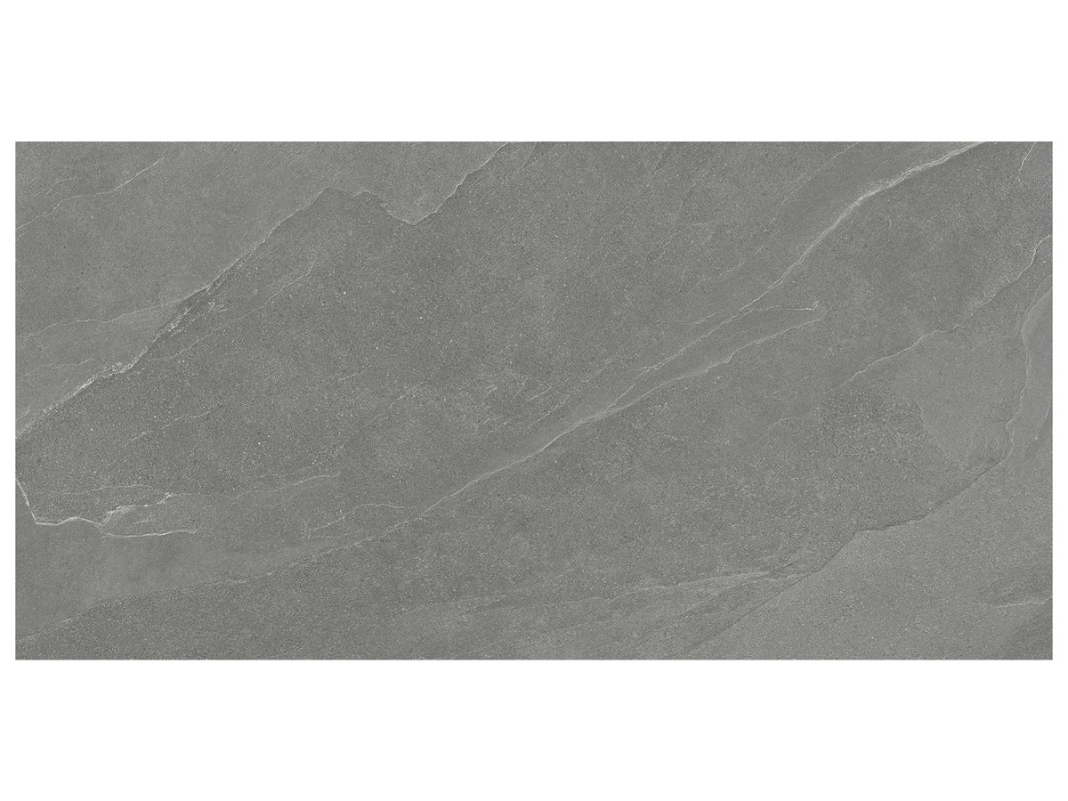 Nord Chromium 600x1200mm Matte Floor/Wall Tile (1.43m2 per box)